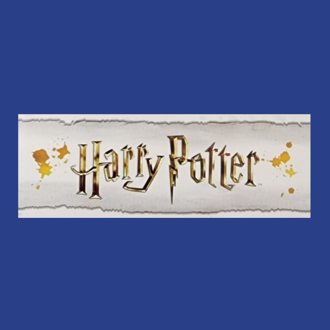 Harry Potter – RC Gifts