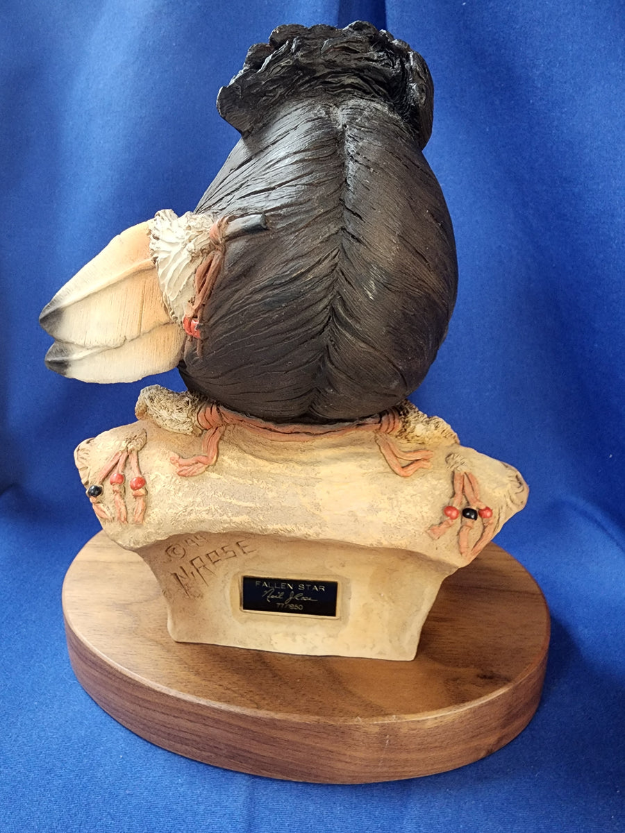 Neil J. Rose Native American "Fallen Star" – RC Gifts