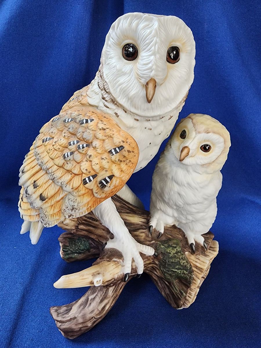 Maruri USA "Eyes Of The Night, Barn Owl" – RC Gifts