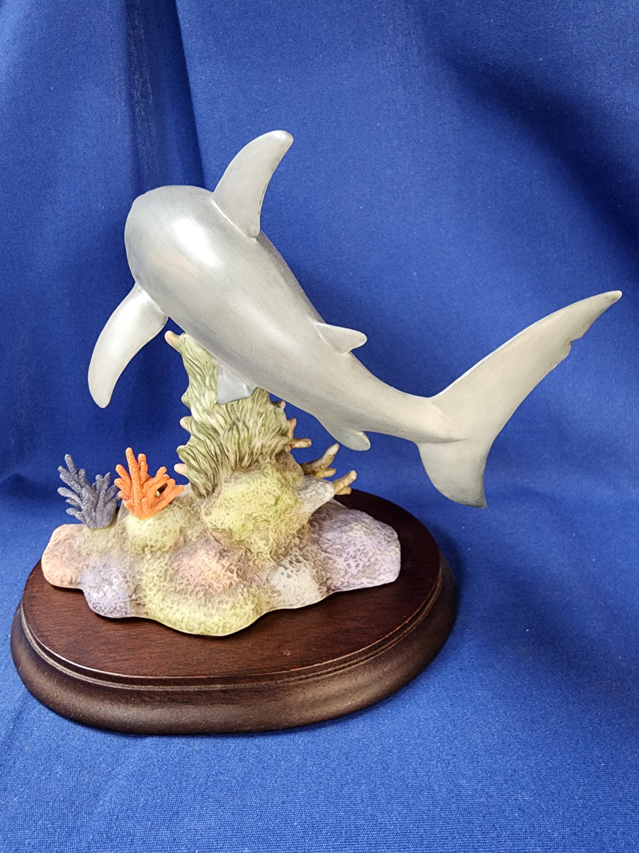 Maruri USA "Wonders of the Sea, Great White Sharks" – RC Gifts