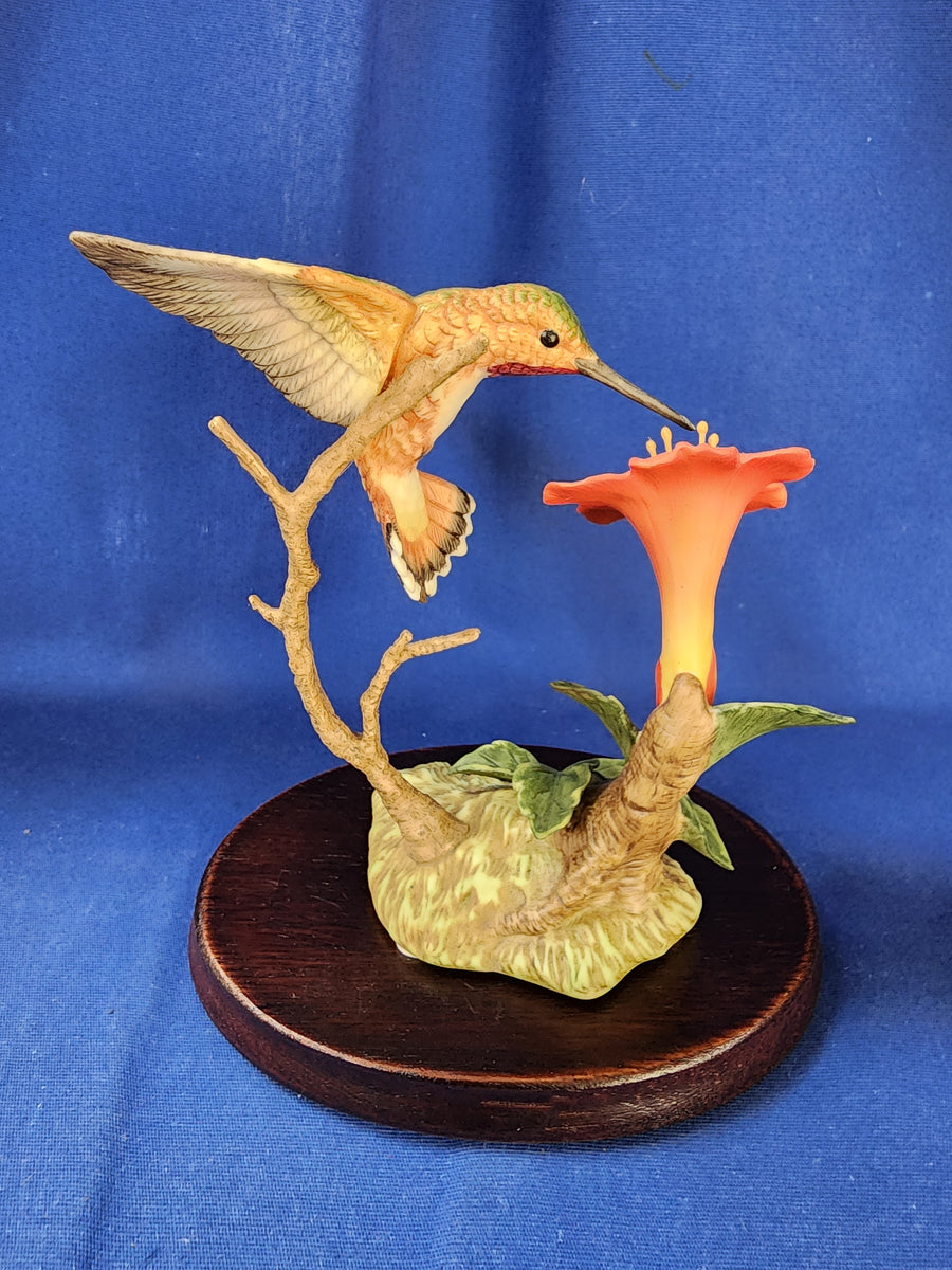 Maruri USA "Rufous Hummingbird with Trumpet Creeper" – RC Gifts