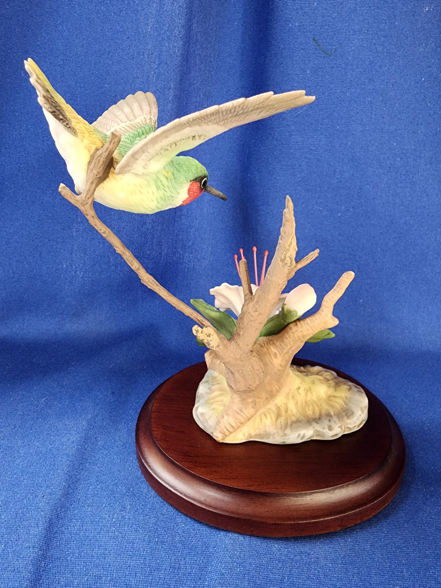 Maruri USA "Ruby-throated Hummingbird with Azalea" – RC Gifts