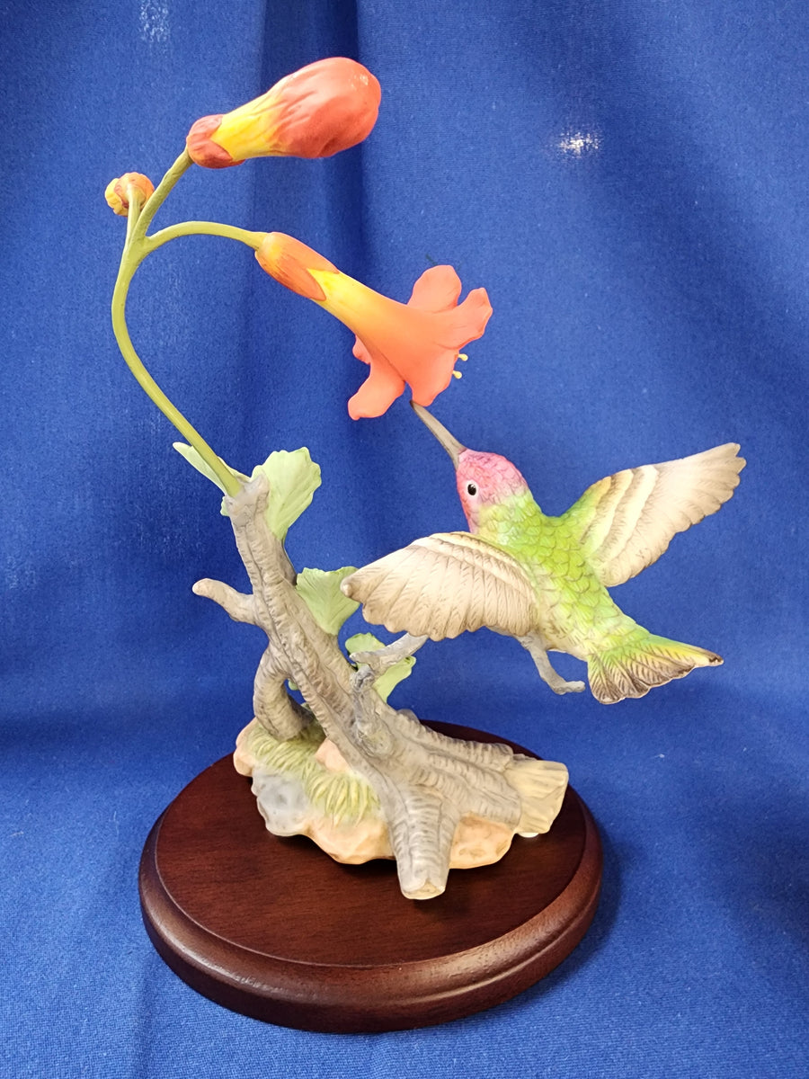 Maruri USA "Anna's Hummingbird with Trumpet Creeper" – RC Gifts